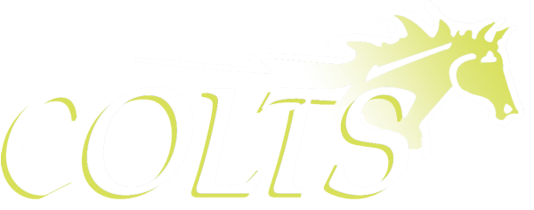 COLTS – County of Lackawanna Transit